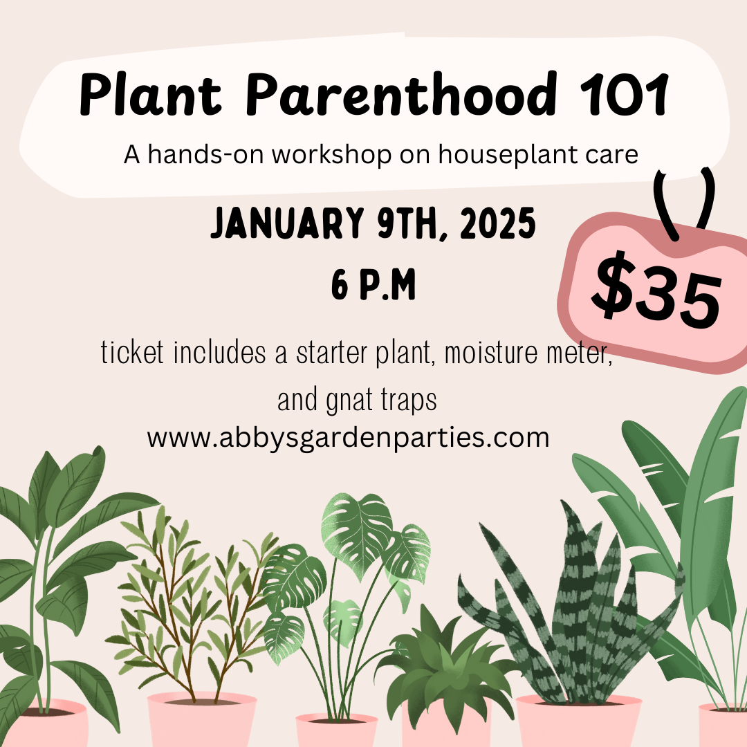 Plant Parenthood 101 | Abby's Garden Parties