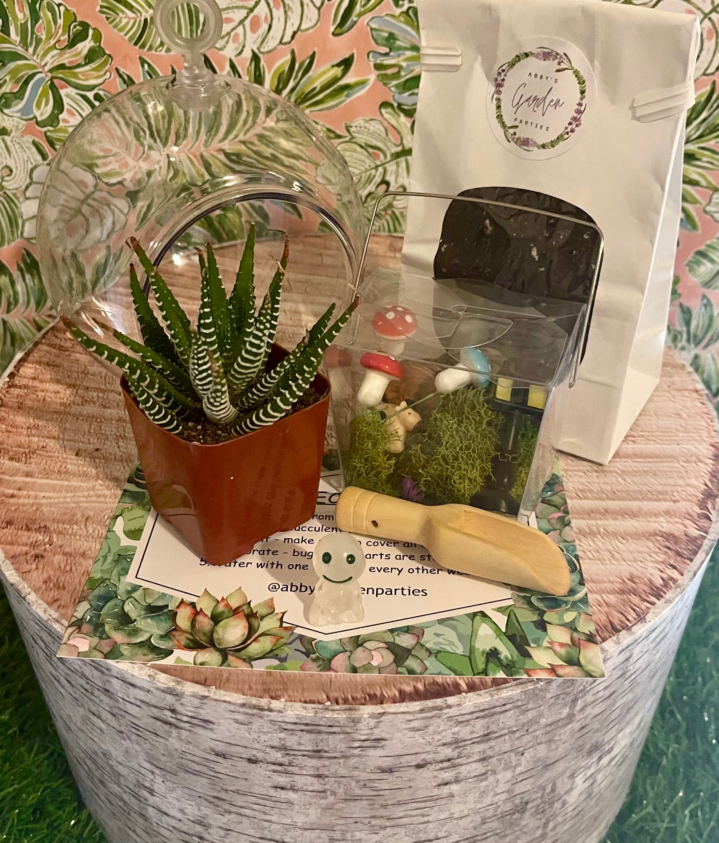 Alien Terrarium Kit | Abby's Garden Parties